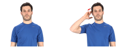 Neck Exercises (Cervical Disc / Facet) | Spine Plus