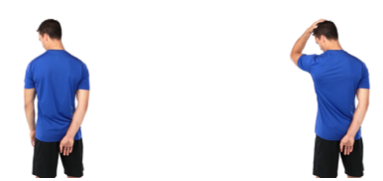 Neck Exercises (Cervical Disc / Facet) | Spine Plus